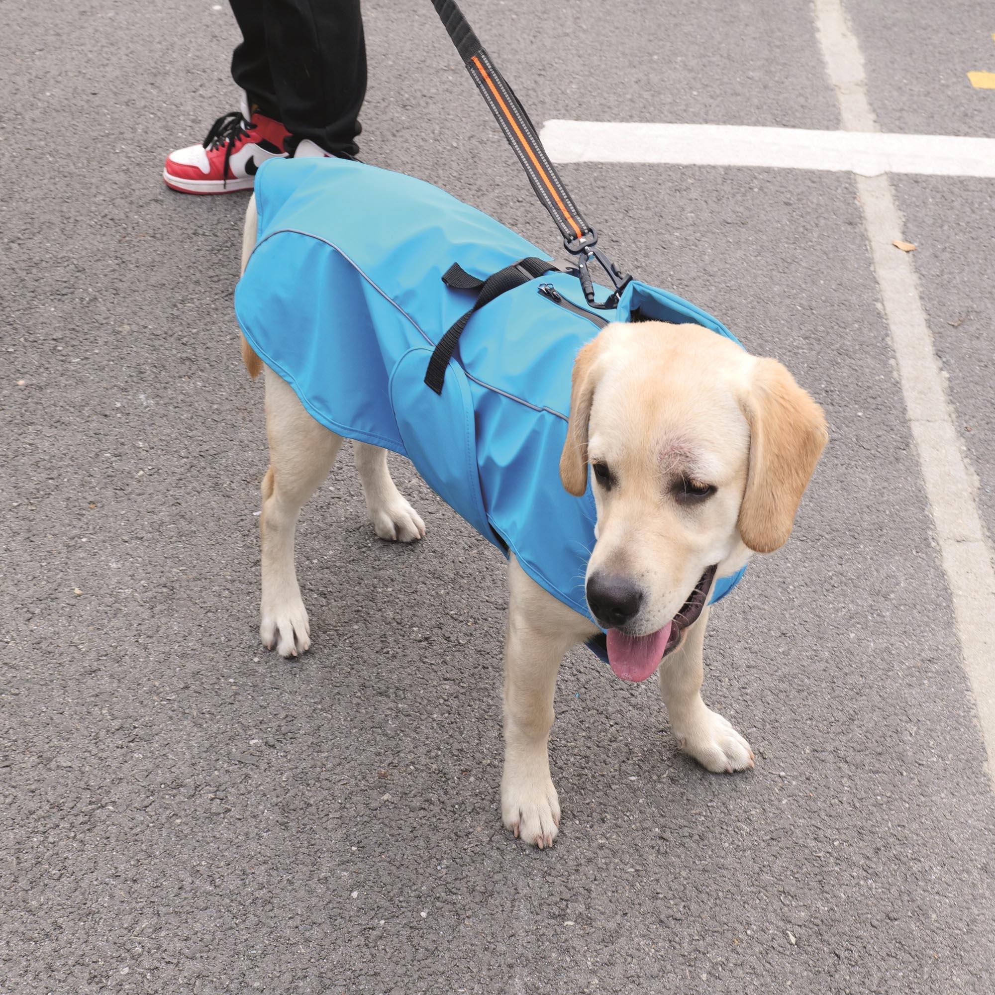 M-PETS Dog Rain Coat | Halfords UK